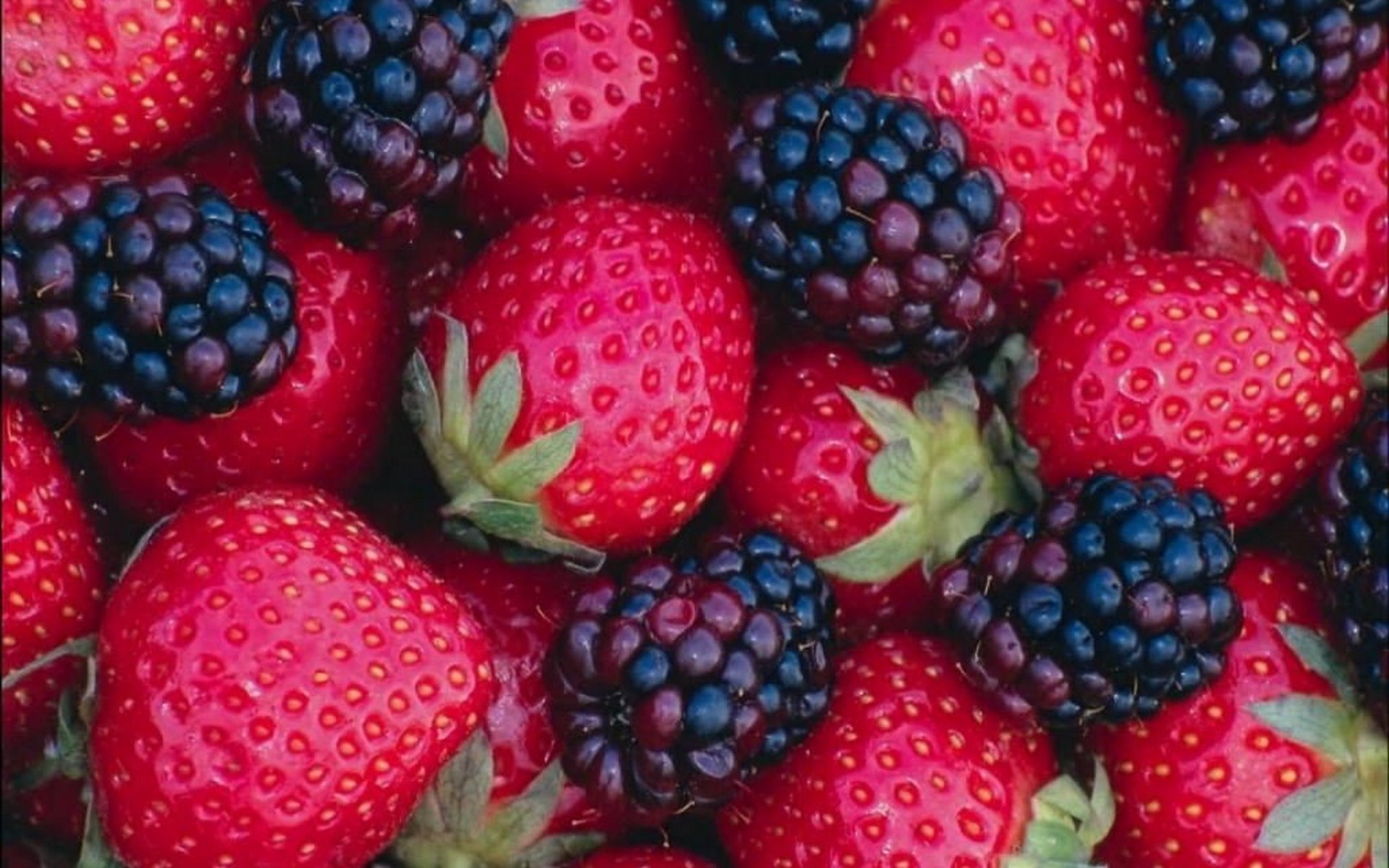 🔥 Free Download Berry Full Hd Wallpaper And Image by @stacyphillips ...