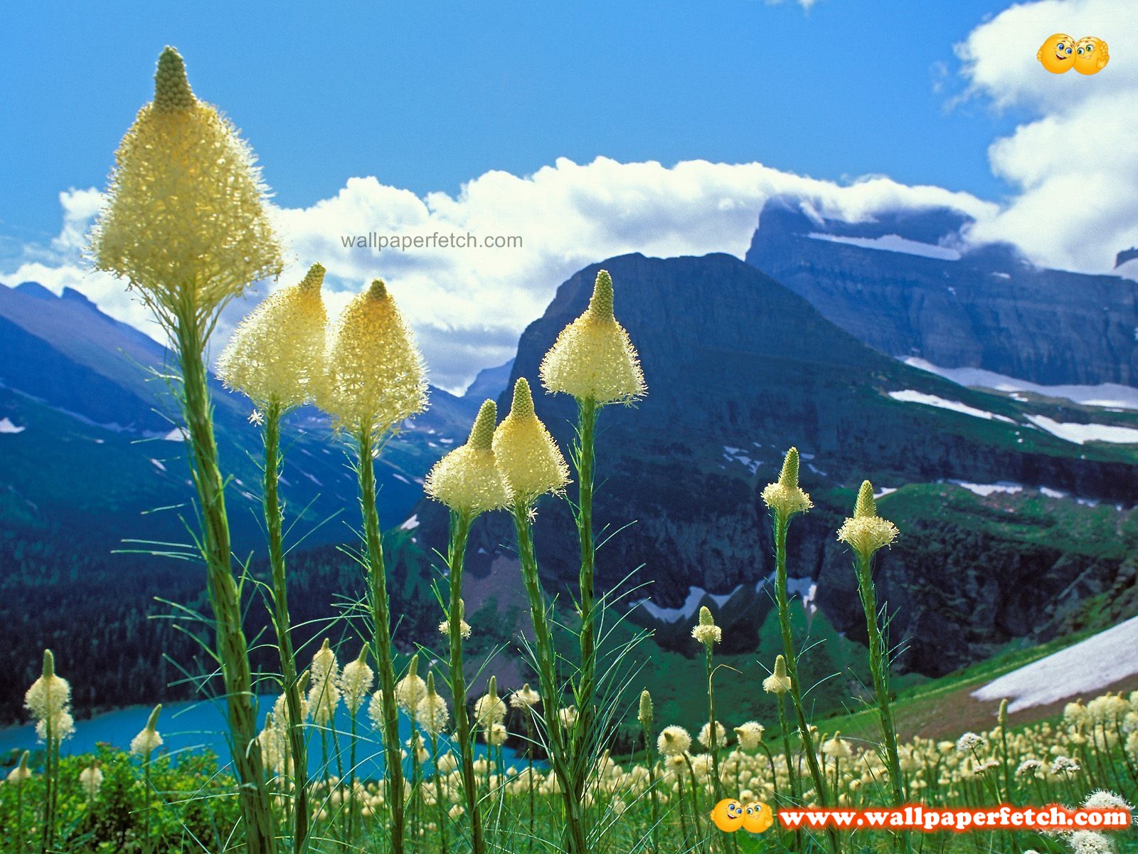 🔥 [50+] Desktop Wallpapers Pack | WallpaperSafari