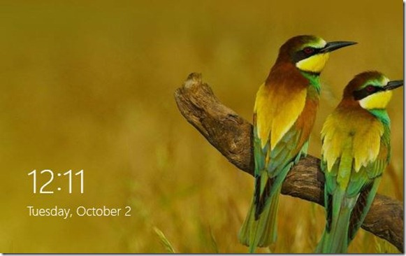 Free download Bing Homepage Picture As Windows 8 Lock Screen Background ...