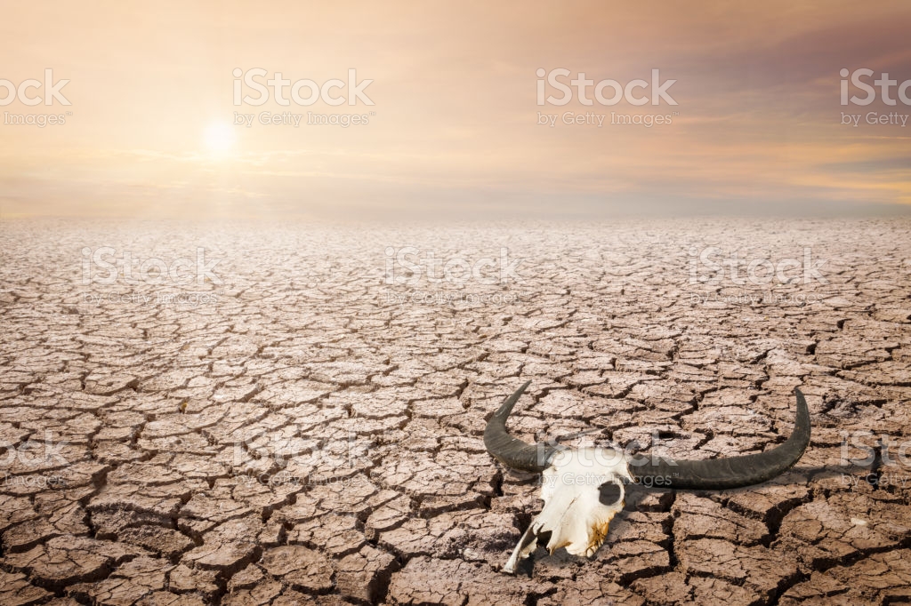 [38+] Warming Background | WallpaperSafari