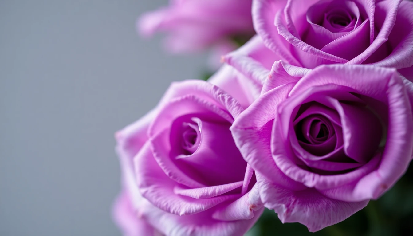 🔥 Free Download Beautiful Purple Roses Wallpaper by @elevy94 ...