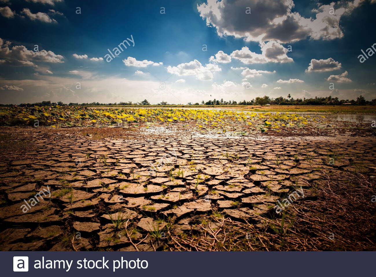 [38+] Warming Background | WallpaperSafari