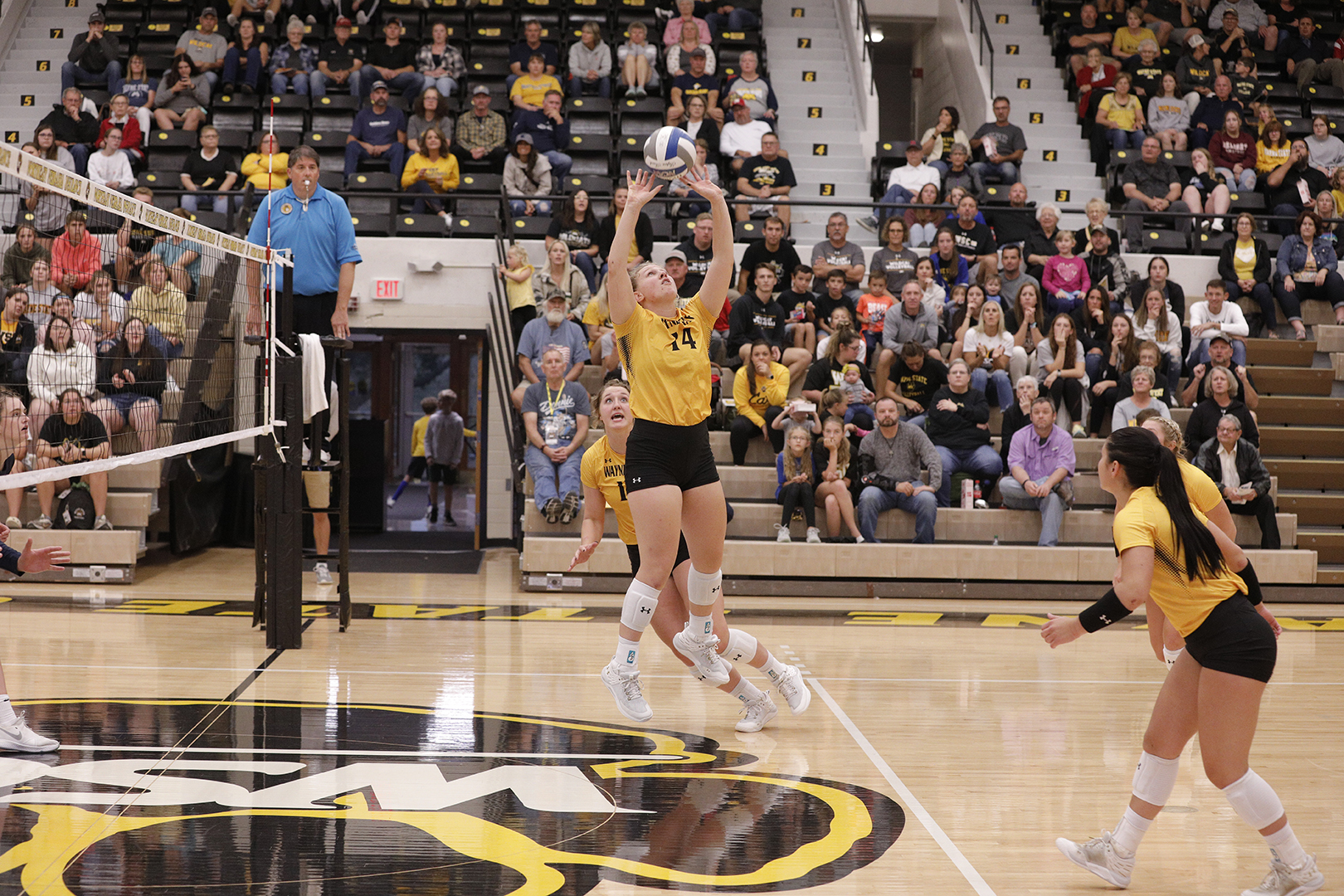 🔥 Free Download Wayne State University Wallpaper by @ldrake ...