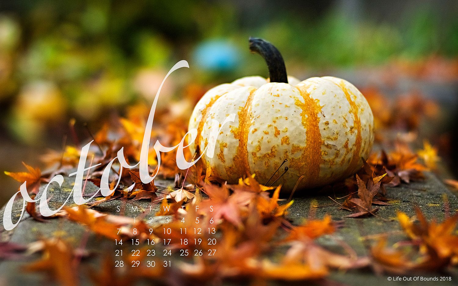 🔥 Free Download October Calendar Desktop Wallpaper 4k by @jmitchell61 ...