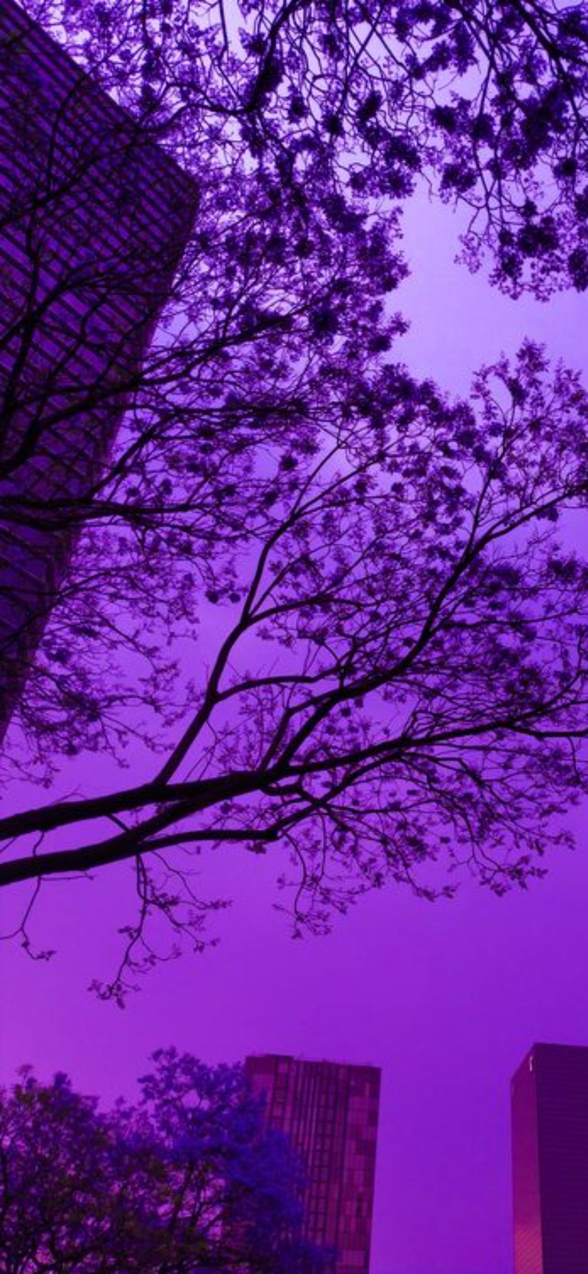 🔥 [60+] Dark Purple Aesthetic Wallpapers | WallpaperSafari