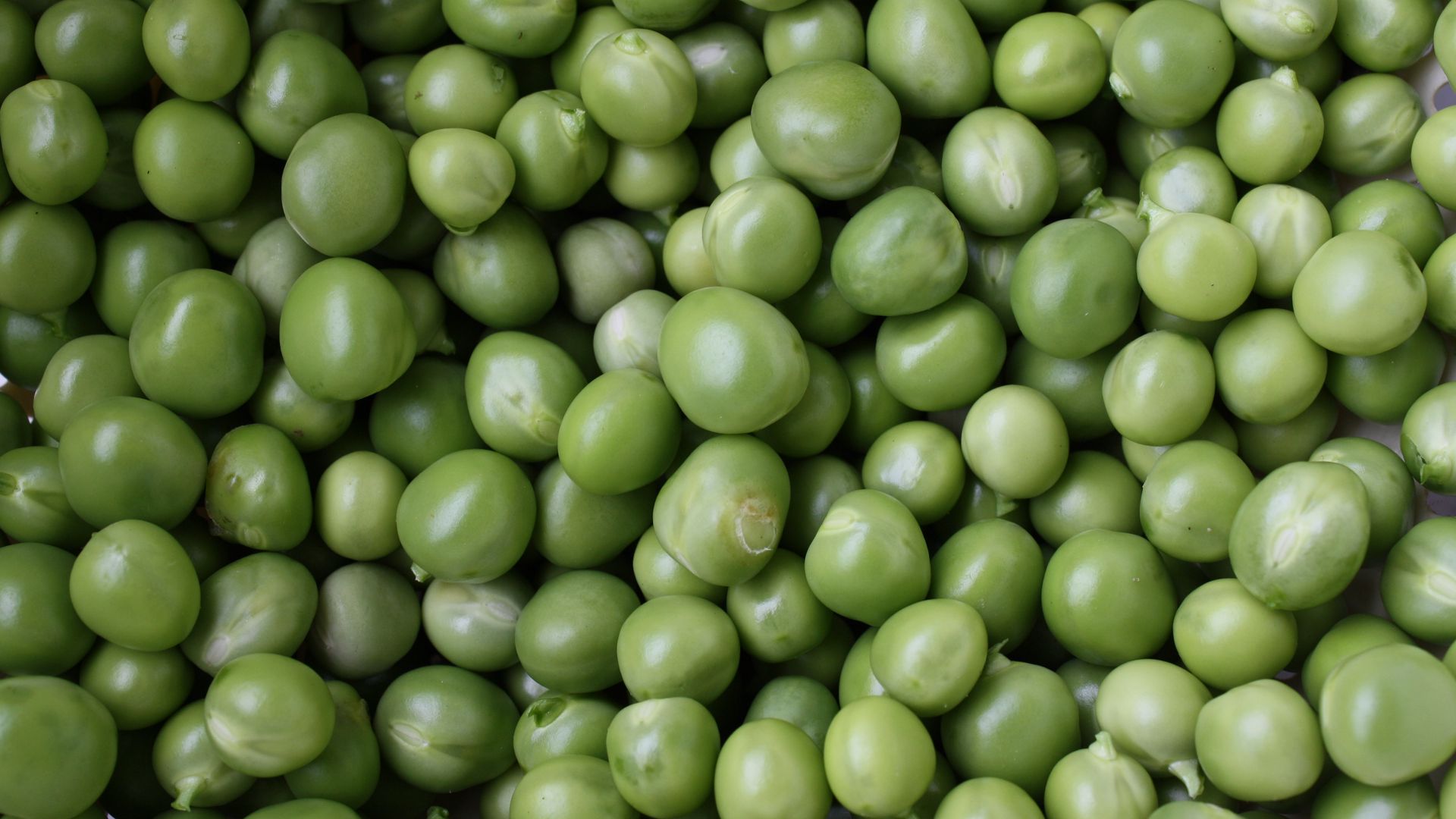 🔥 Free Download Wallpaper Peas Green Many Full Hd Hdtv Fhd by ...