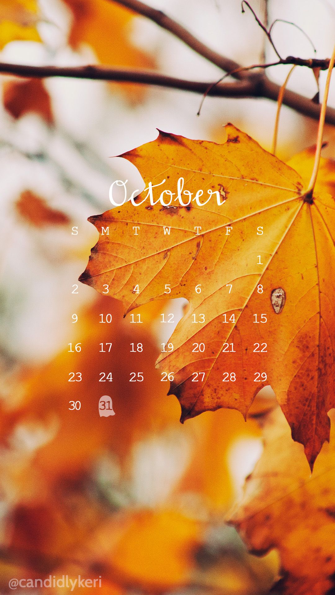 🔥 [60+] October Fall Wallpapers | WallpaperSafari