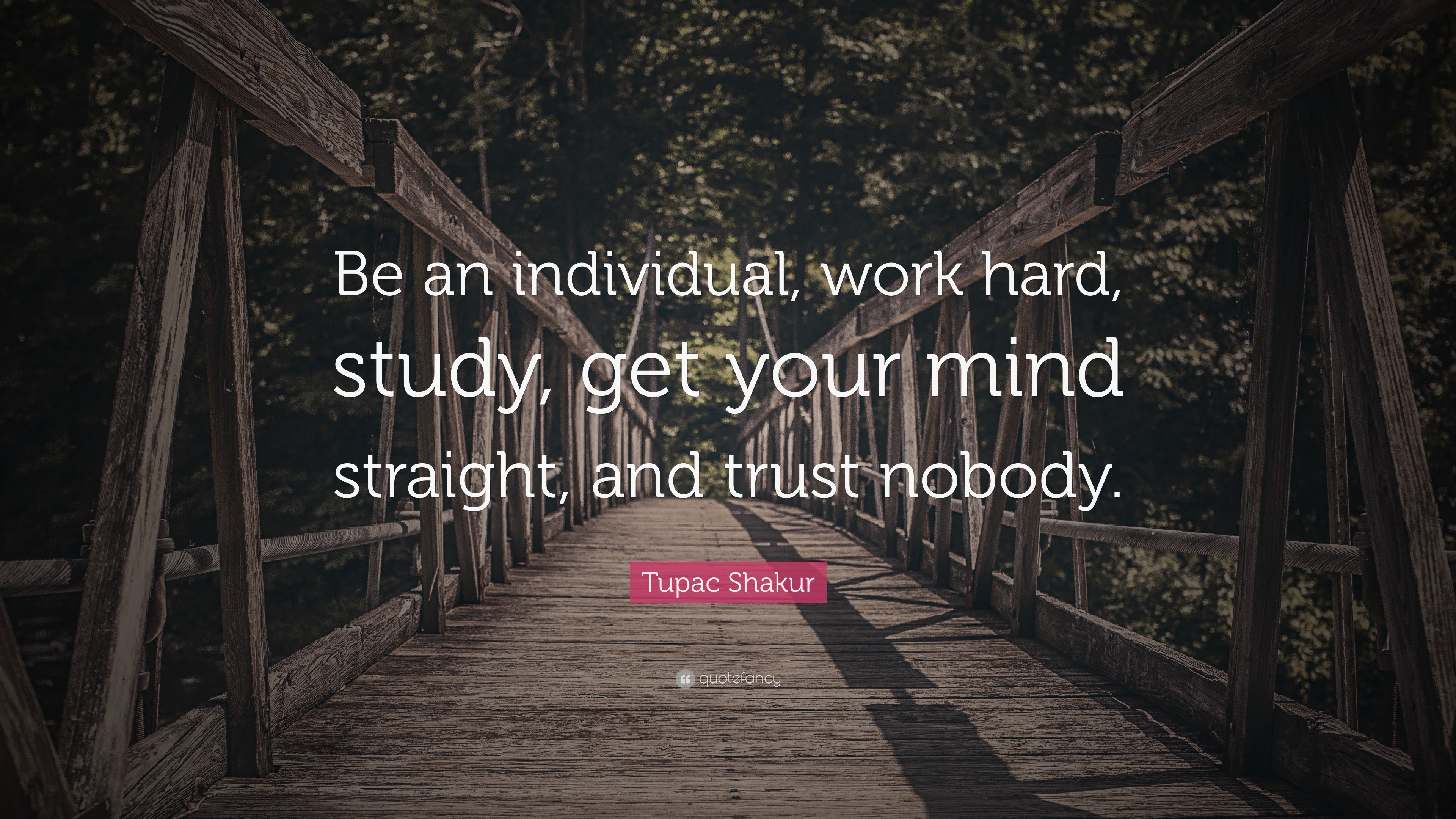 🔥 Free Download Motivational Study Quotes Wallpaper by @allisons47 ...