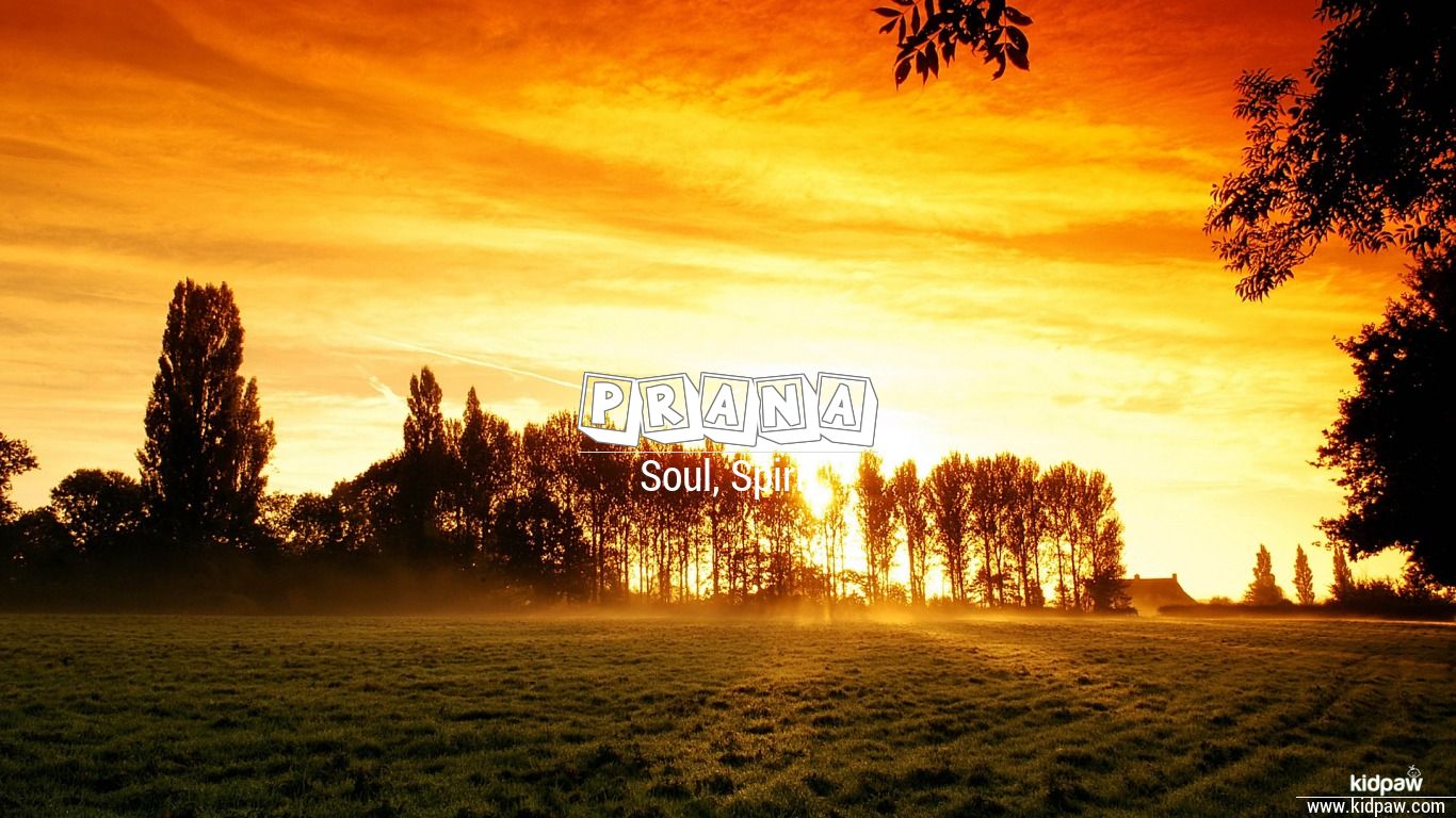 🔥 Free Download Prana Name Meaning In Hindi Indian Baby Boy by @sarahg9 ...