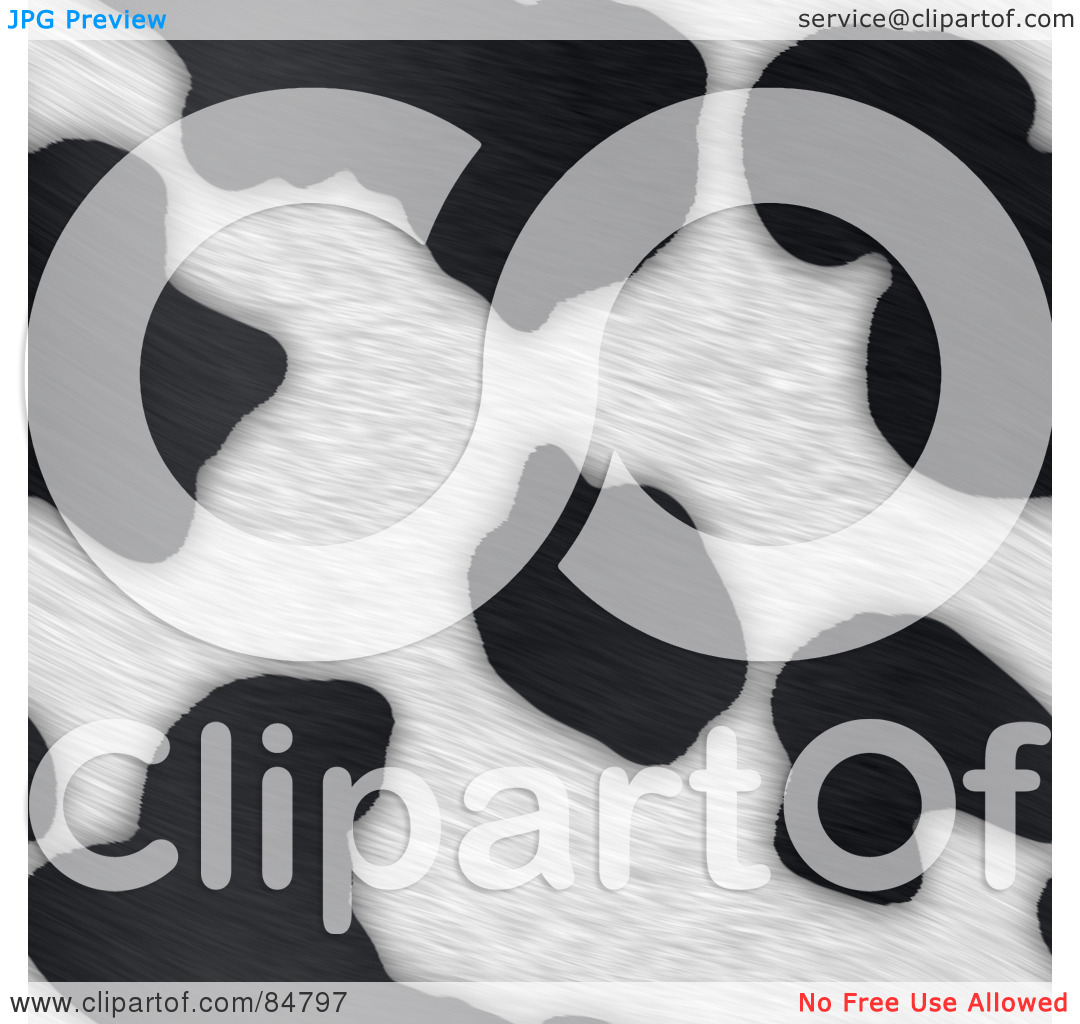 Cow Print Wallpaper Border