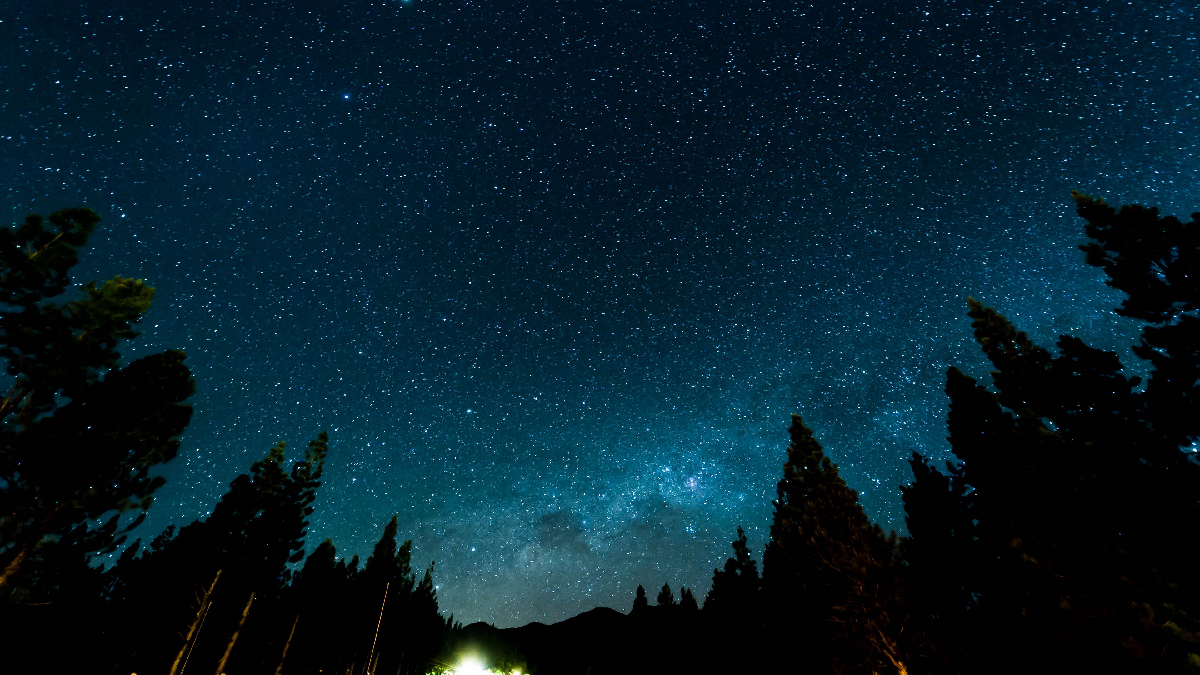 🔥 Free Download Starry Sky Night Stars Forest Nebula 4k Hd Wallpaper by ...