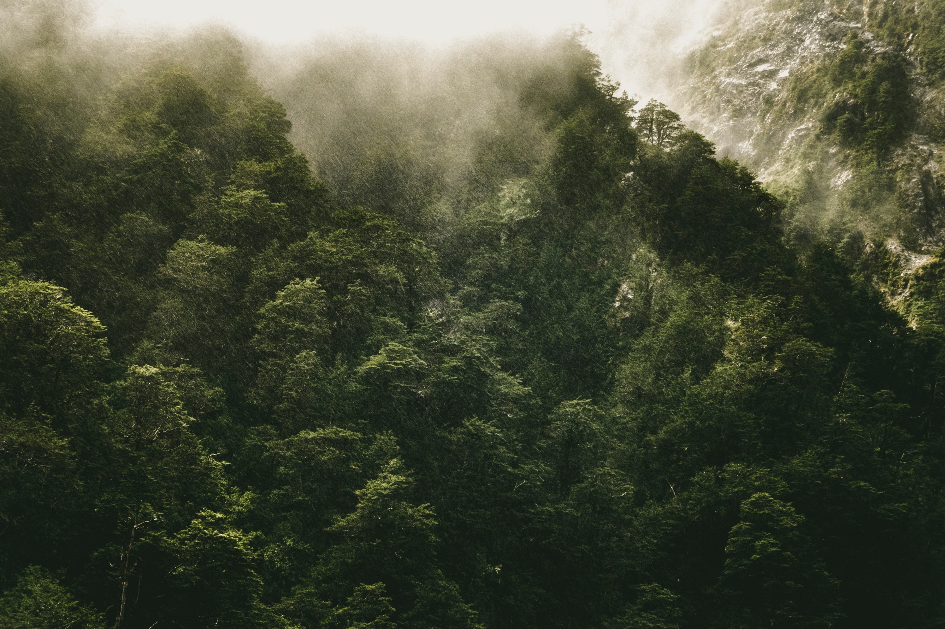 🔥 Free Download Sunshower 4k Wallpaper And Background by @valerier ...