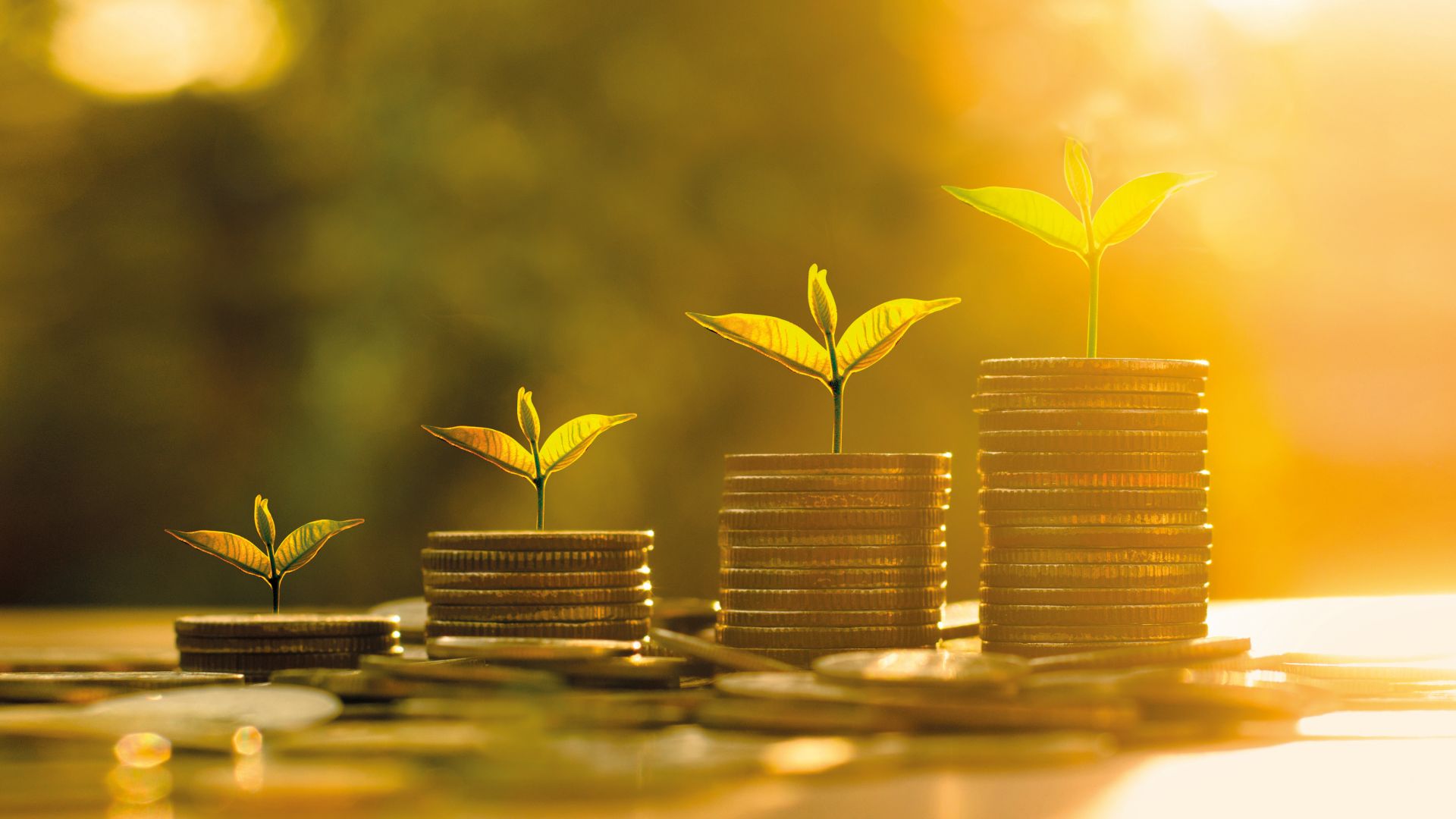 🔥 Free Download Non Refundable Cash Incentives Yieldhacker by @mmaxwell ...