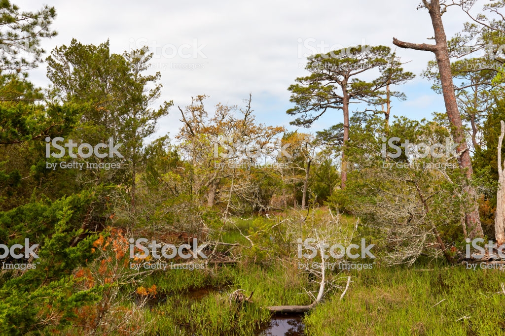 [45+] Croatan Backgrounds | WallpaperSafari