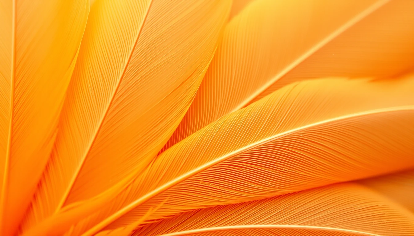 🔥 Free Download Orange Feather Wallpaper by @robertb38 | WallpaperSafari
