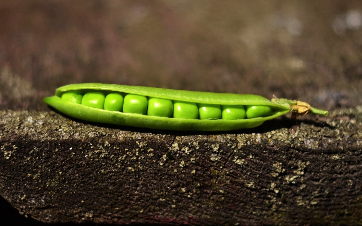 🔥 Free Download Peas Wallpaper Hd Desktop Image Green Photo Shared By ...