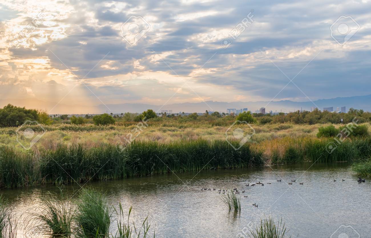 🔥 [32+] Wetlands Background | WallpaperSafari