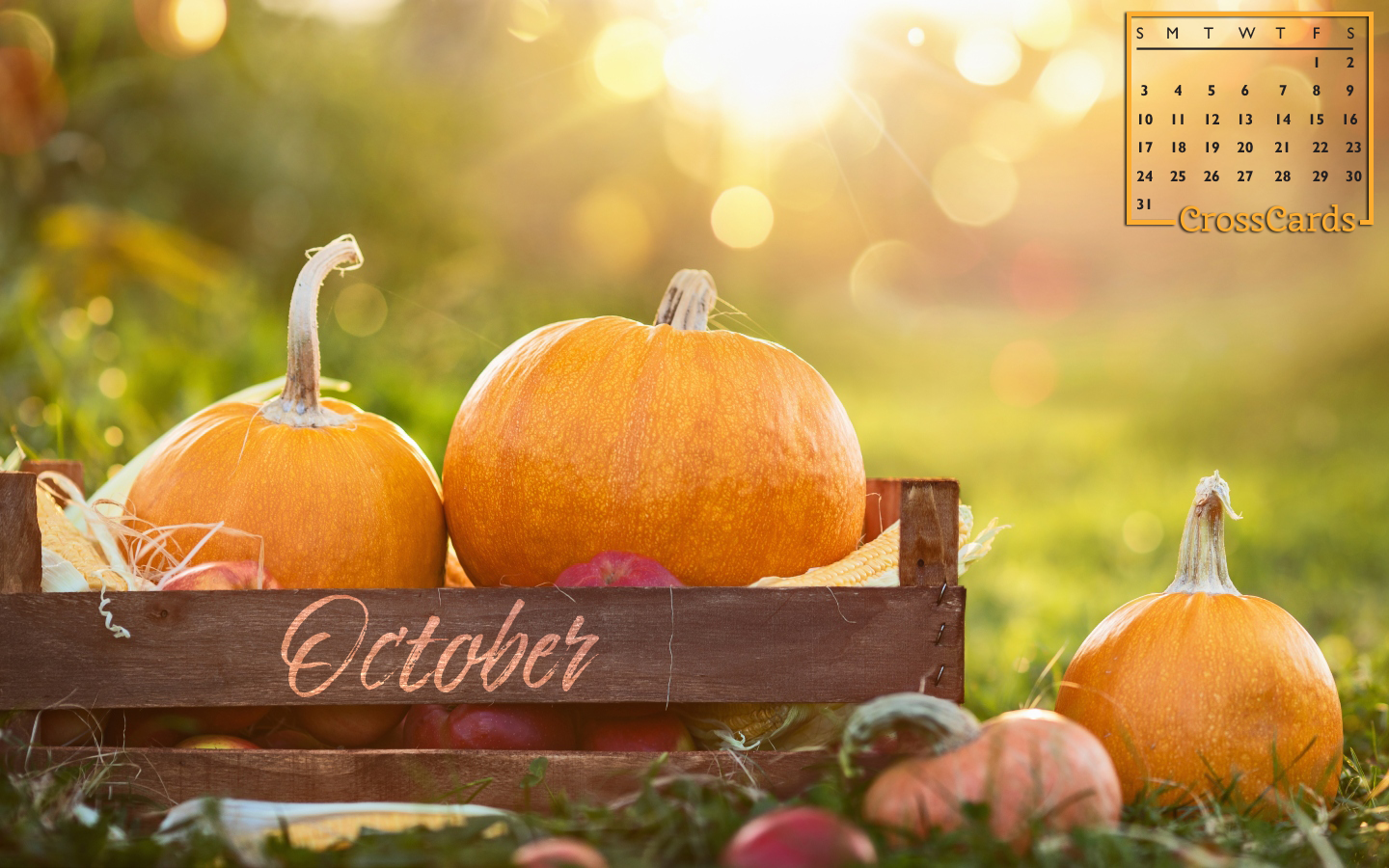 🔥 Free Download October Wallpaper S by @megannelson | WallpaperSafari