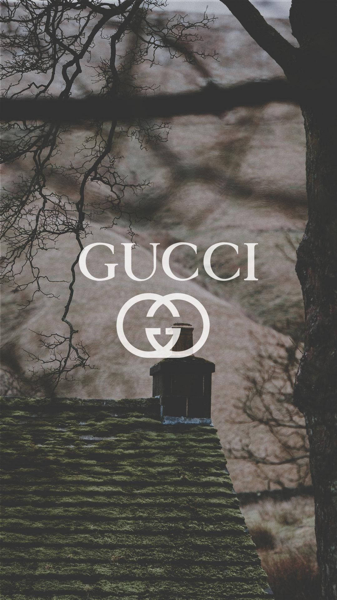 🔥 Free Download Gucci Wallpaper Hd by @roseburgess | WallpaperSafari