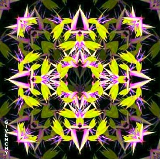 🔥 [50+] Gnome Wallpapers and Screensavers | WallpaperSafari