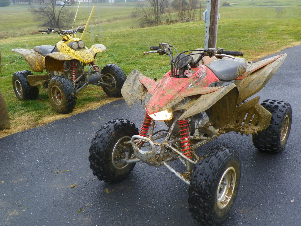 🔥 Free download Best TRX Wallpaper on HipWallpaper Flash Wallpaper X ...