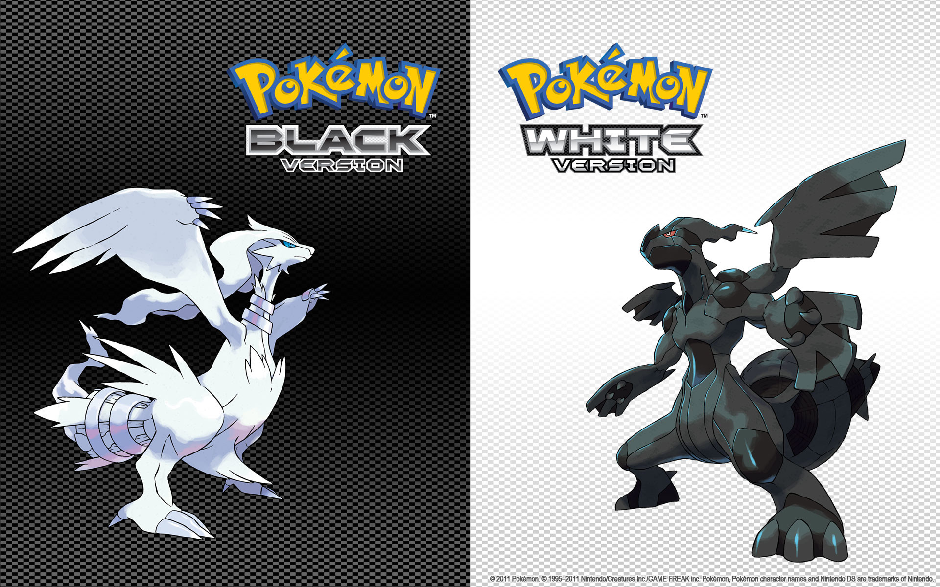 🔥 Free Download Pokemon Black Wallpaper by @nicoles | WallpaperSafari