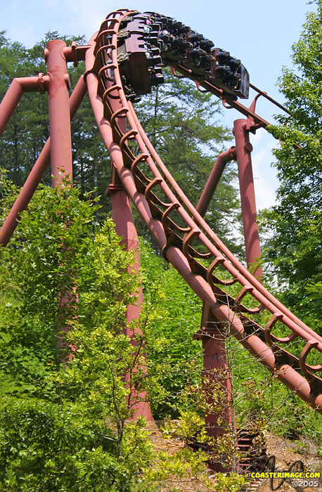 🔥 [50+] Dollywood Wallpapers | WallpaperSafari