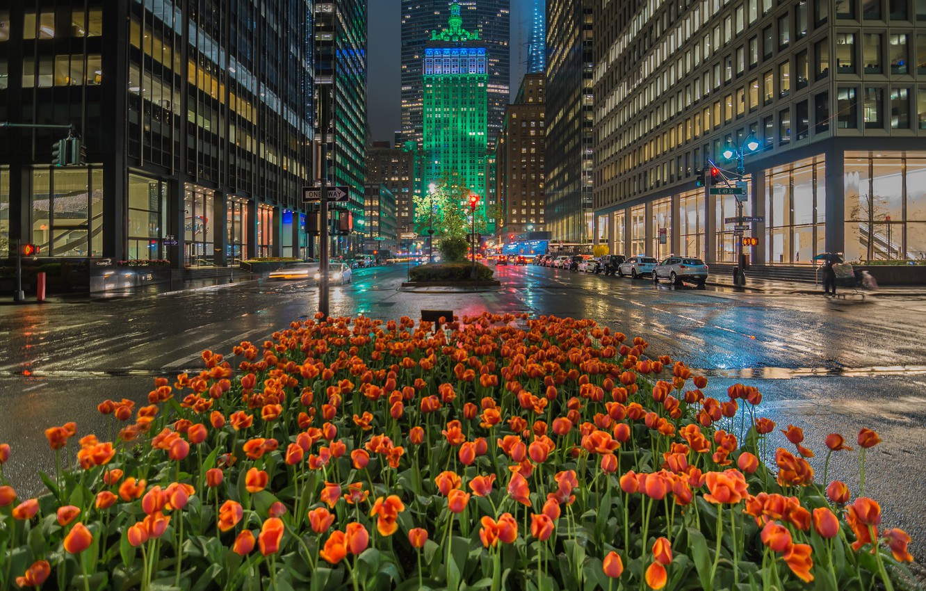 🔥 Free Download Wallpaper Flowers Street Building Home New York ...