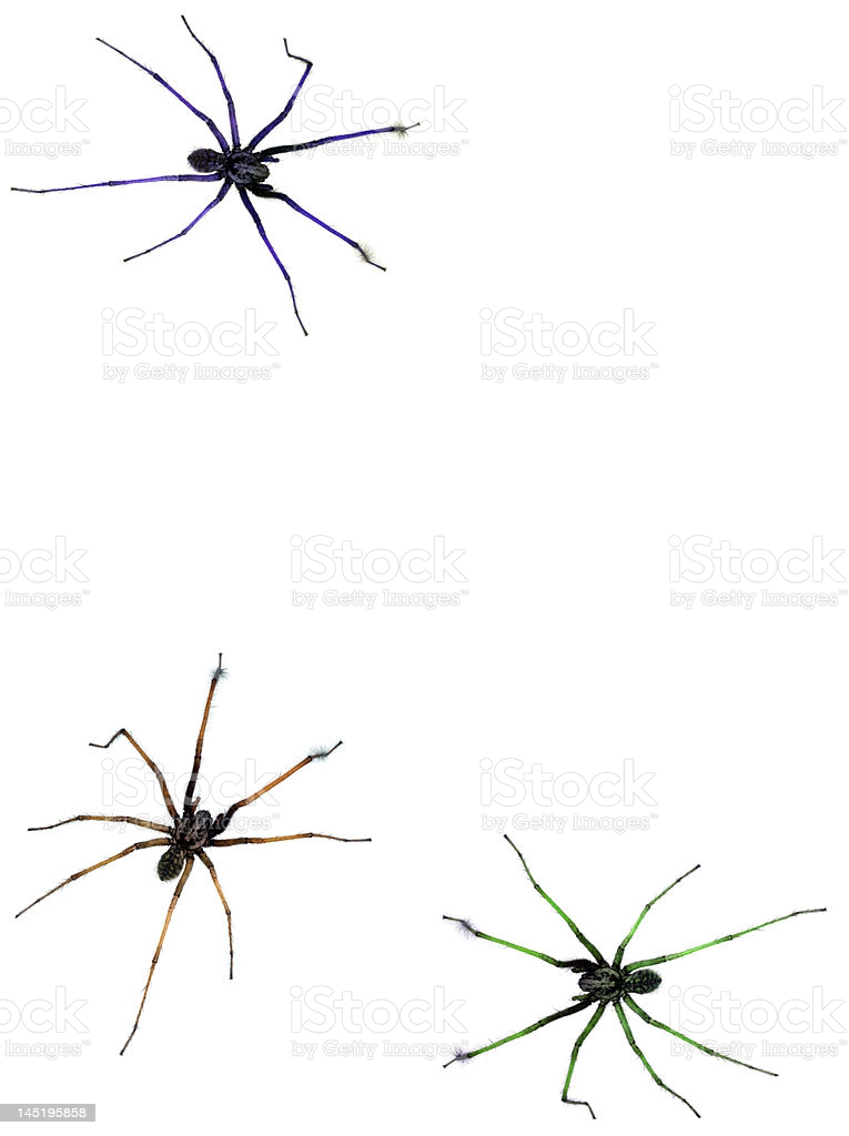 🔥 [31+] Panic Background | WallpaperSafari