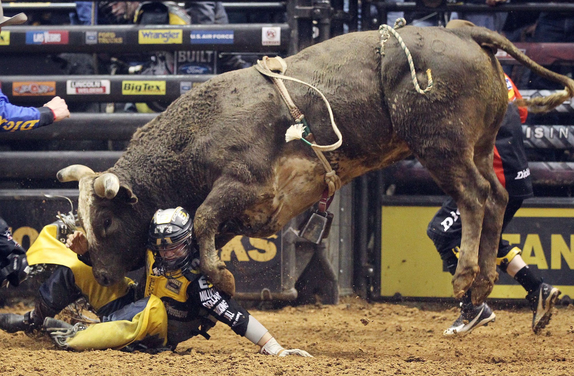 🔥 Free Download Bull Riding Bullrider Rodeo Western Cowboy Extreme Cow ...