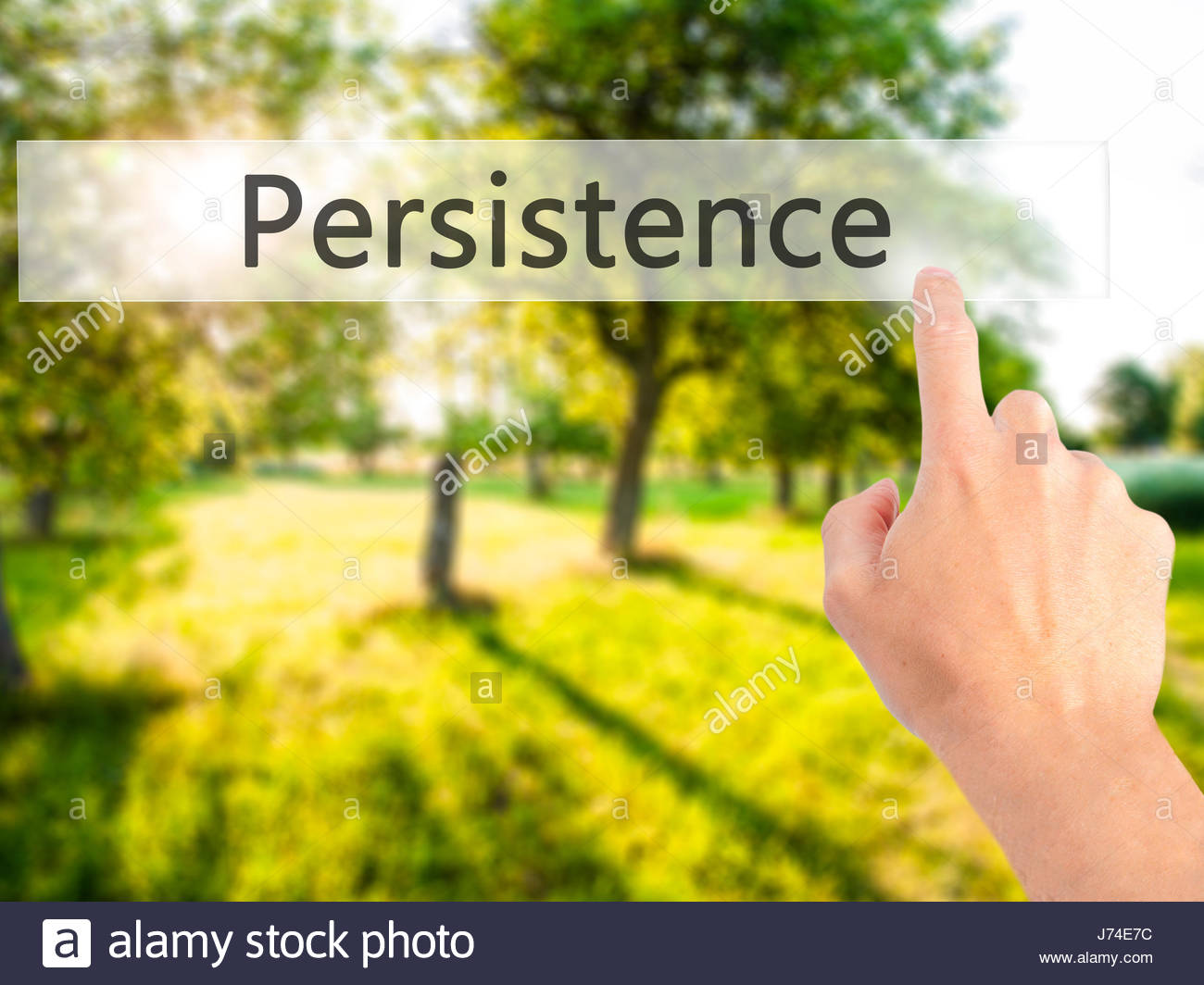 🔥 [41+] Persistence Background | WallpaperSafari