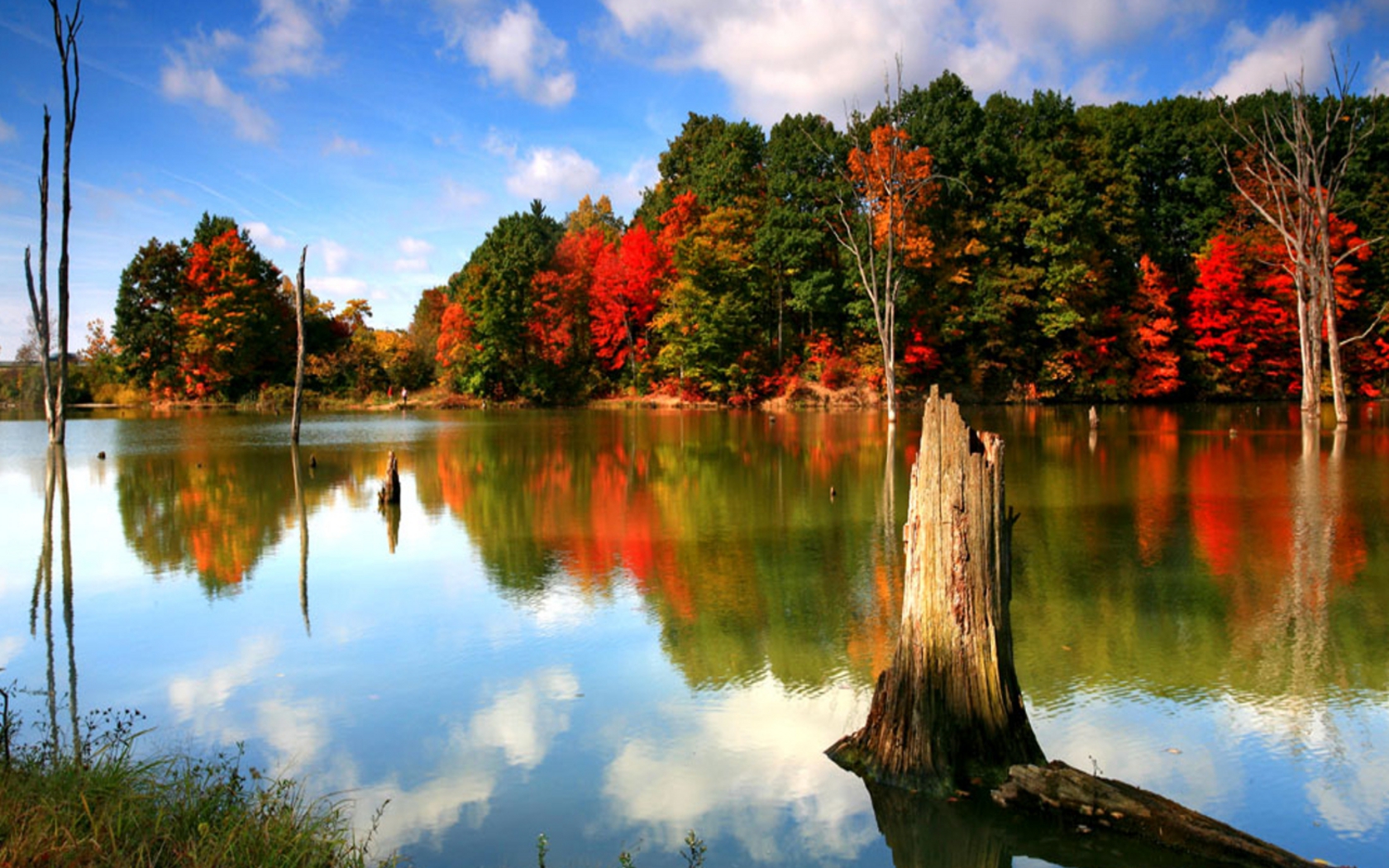 🔥 Free Download Autumn Wallpaper Desktop Hd by @dawns | WallpaperSafari