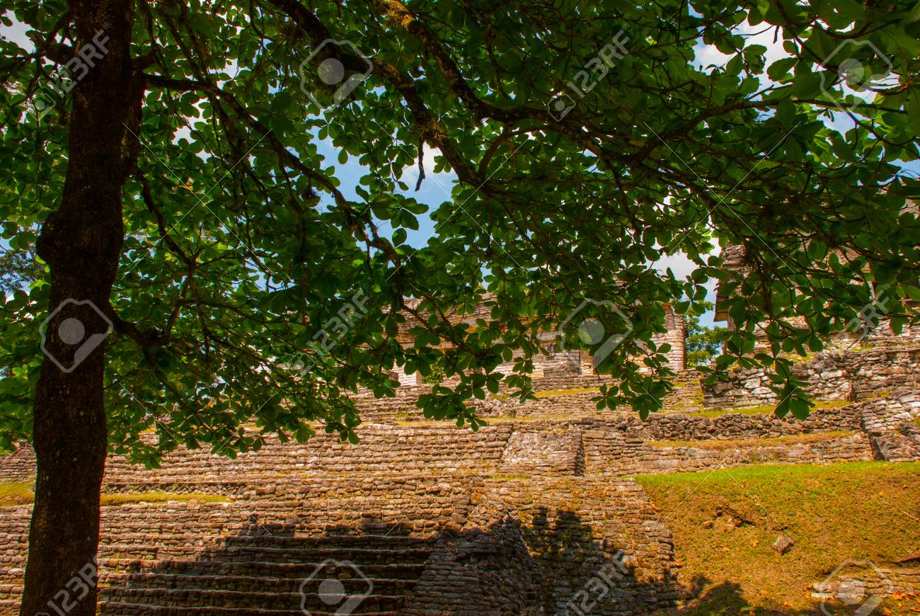 [39+] Chiapas Background | WallpaperSafari
