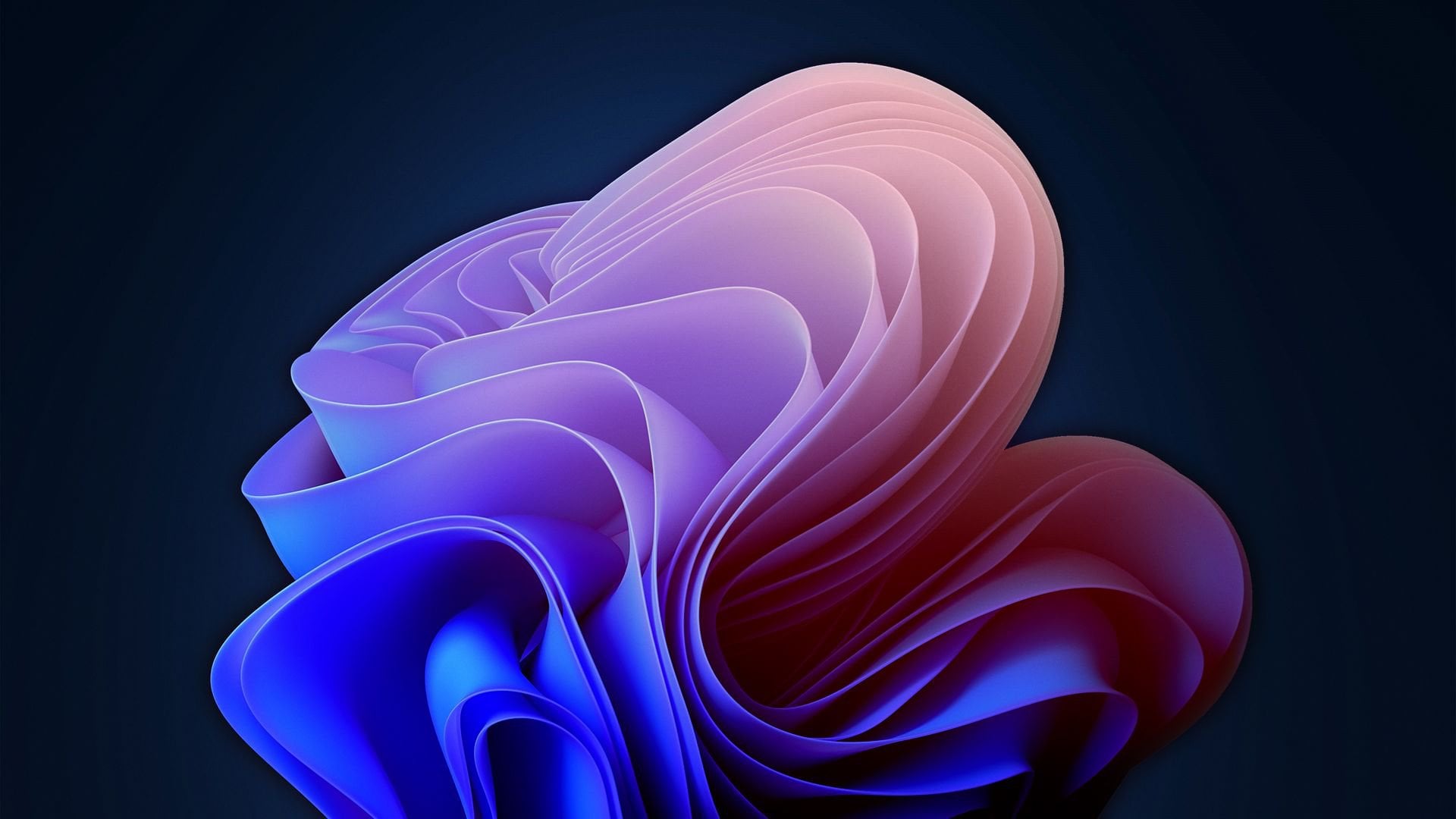 🔥 [50+] Windows 11 Wallpapers | WallpaperSafari