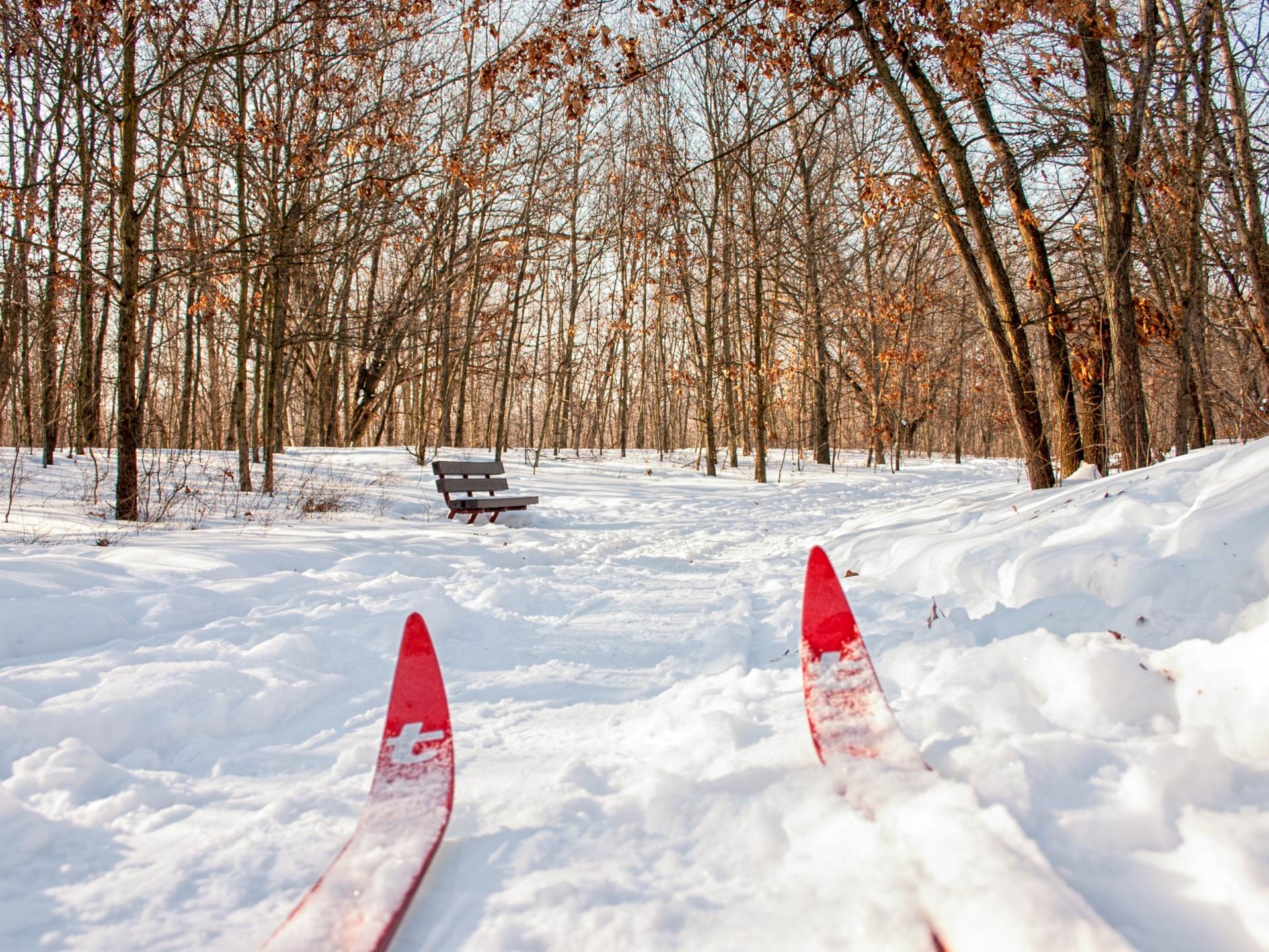 🔥 [20+] Winter Activity Wallpapers | WallpaperSafari