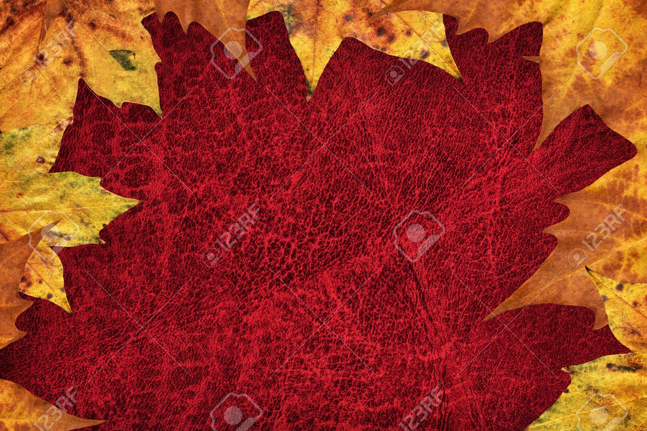 🔥 [34+] Cowhide Background | WallpaperSafari