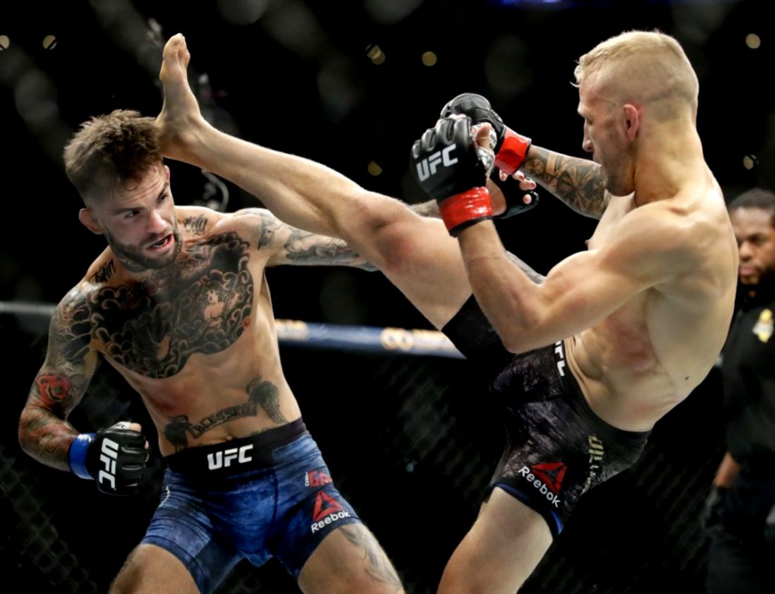 Free download Ufc Pictures Wallpapers Jleb [1099x842] for your Desktop ...