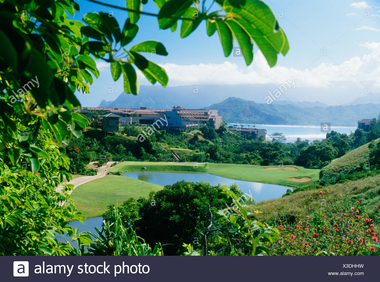 Sheraton Background. Download Wallpapers on WallpaperSafari