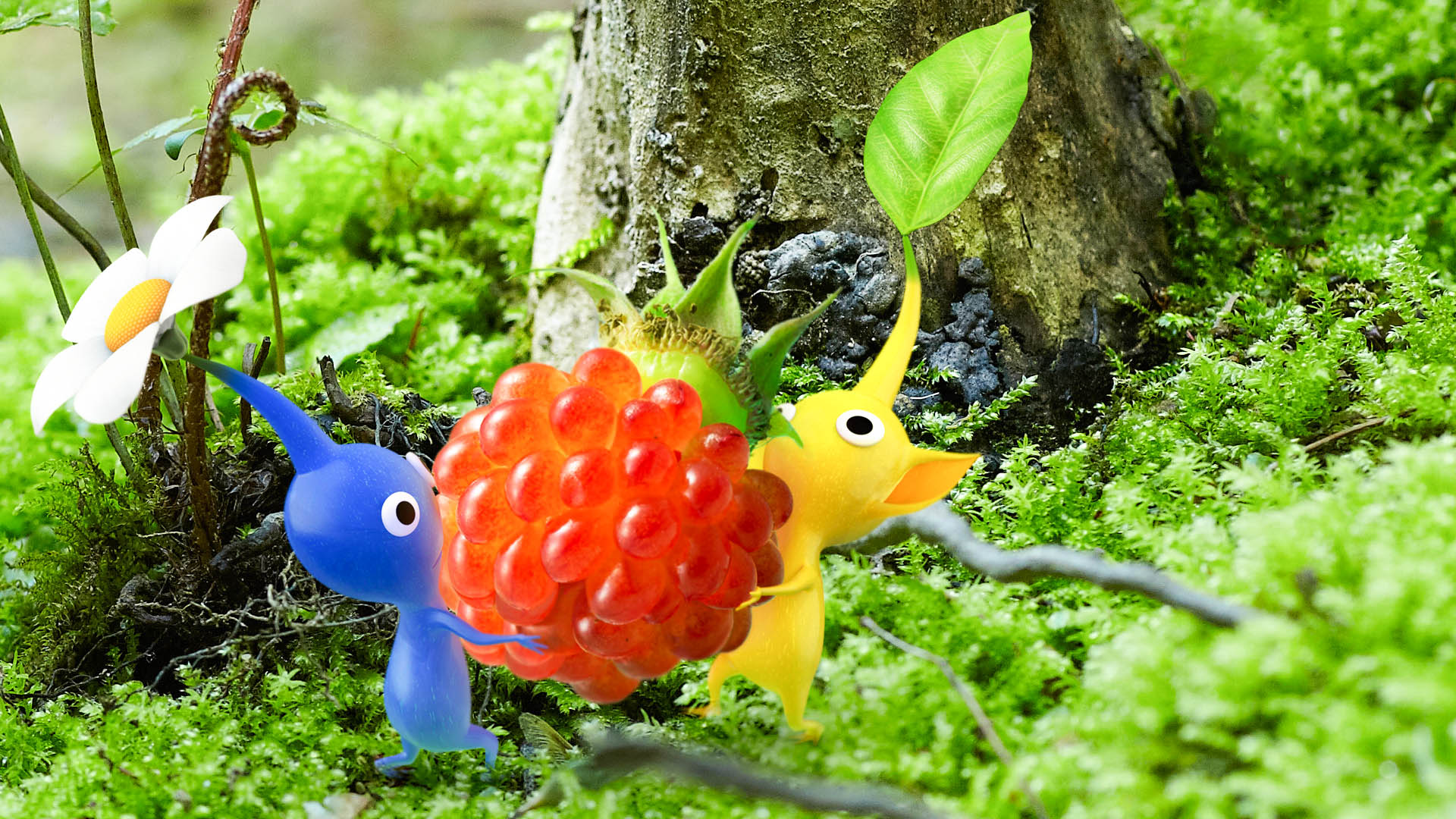 Free download Pikmin New Amazing Wallpapers High Resolution All HD ...