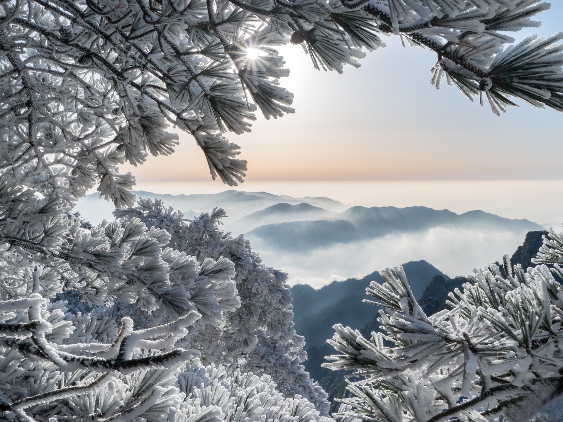 Free download Wallpaper China Huangshan Mountains pine frost snow ...