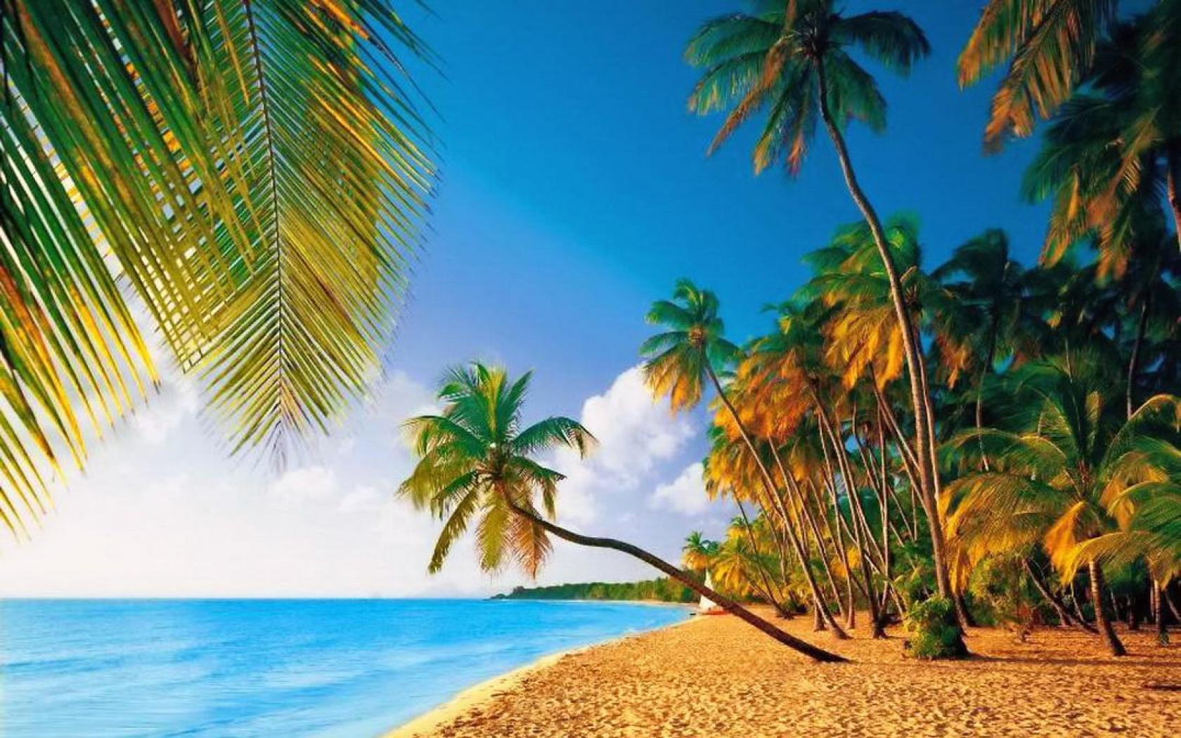 Tropical Paradise Wallpaper High Resolution. Download Wallpapers on ...