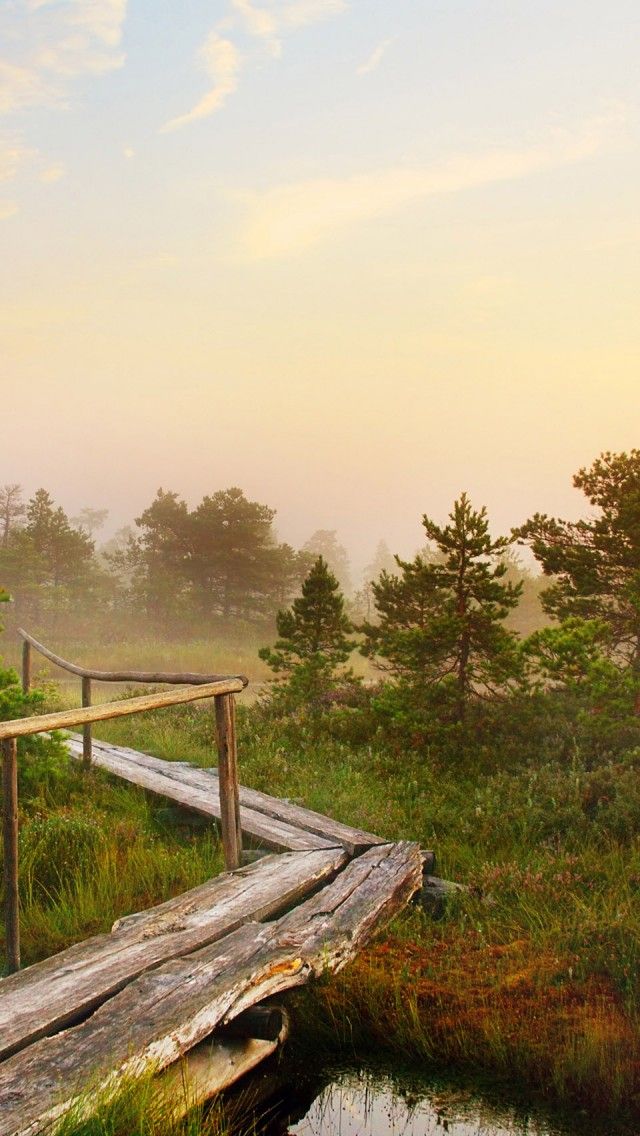 Free download Beautiful Scenic Latvian Morning HD iPhone Wallpapers ...