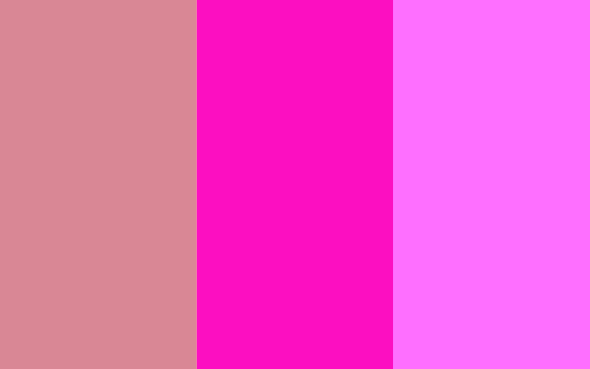 Free download Blush Shocking Pink and Shocking Pink Crayola Three Color ...