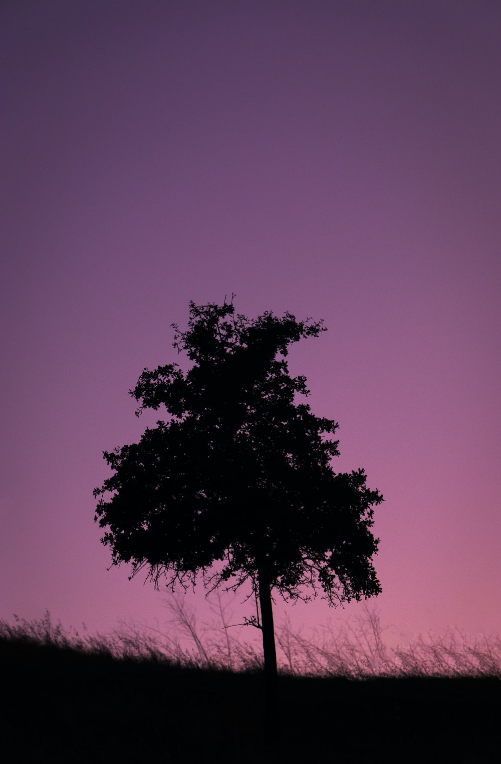 Free download Silhouette Background Pictures Download Images on ...