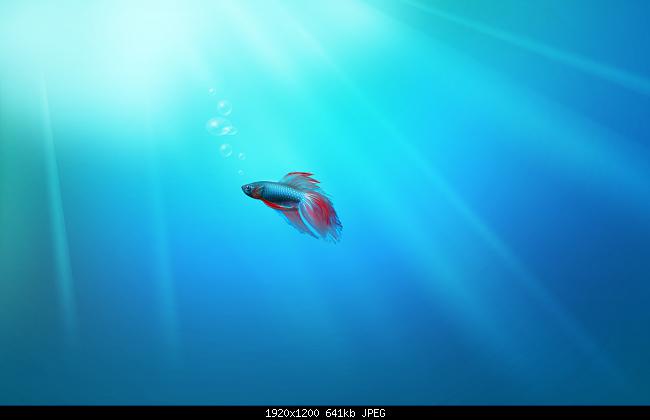 Free download reveals Windows 10 hero desktop wallpaper Page 2 Windows ...