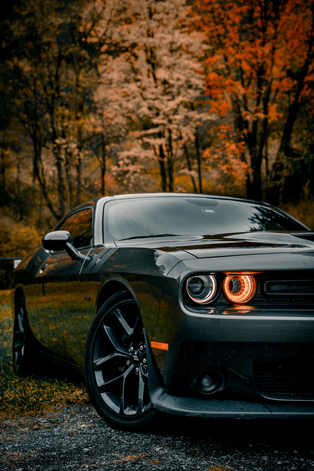 Black Muscle Cars Wallpapers. Download Wallpapers on WallpaperSafari