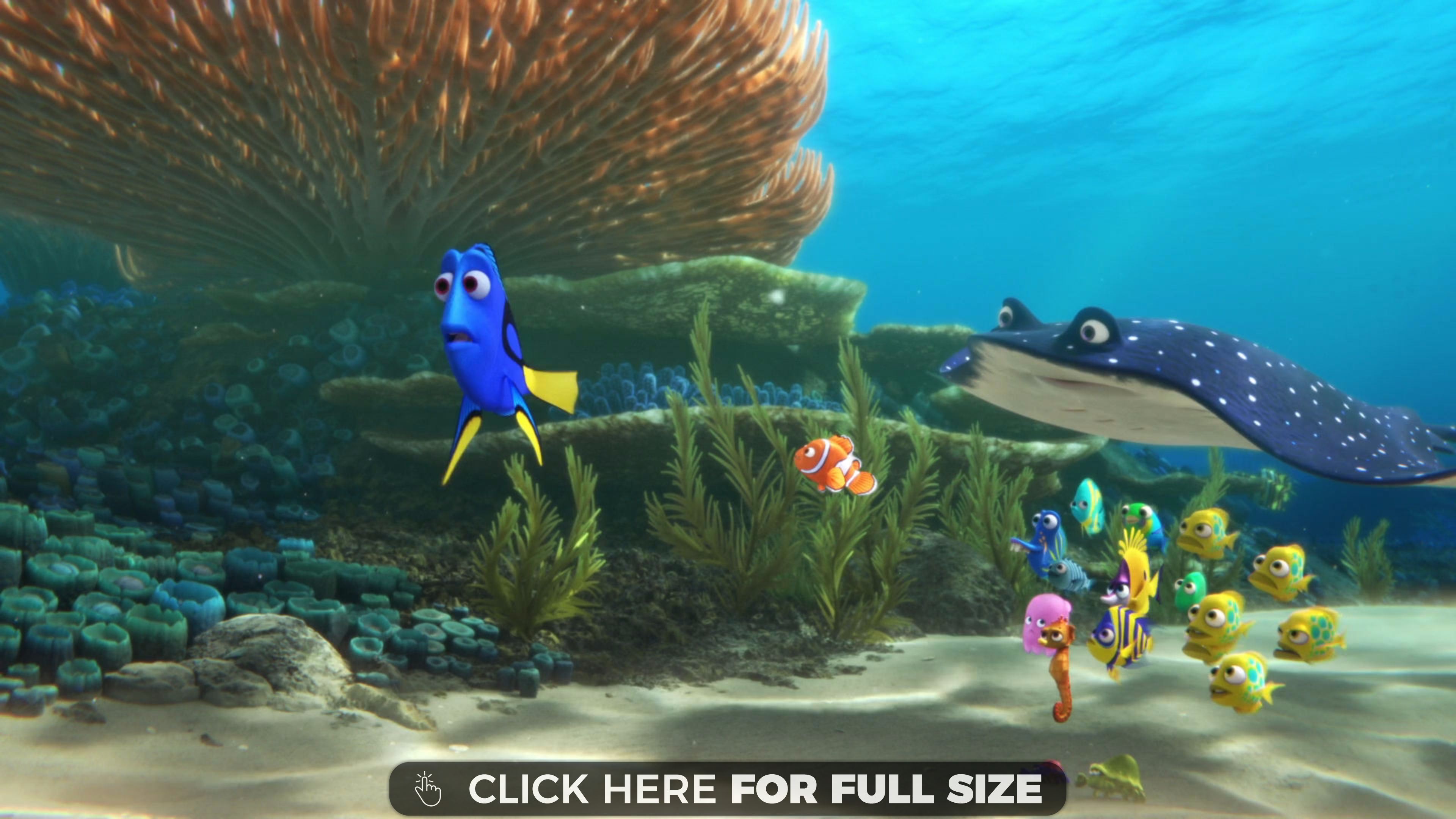 Free download Reveal Finding Dory Movie 4K wallpaper [3840x2160] for your Desktop, Mobile ...