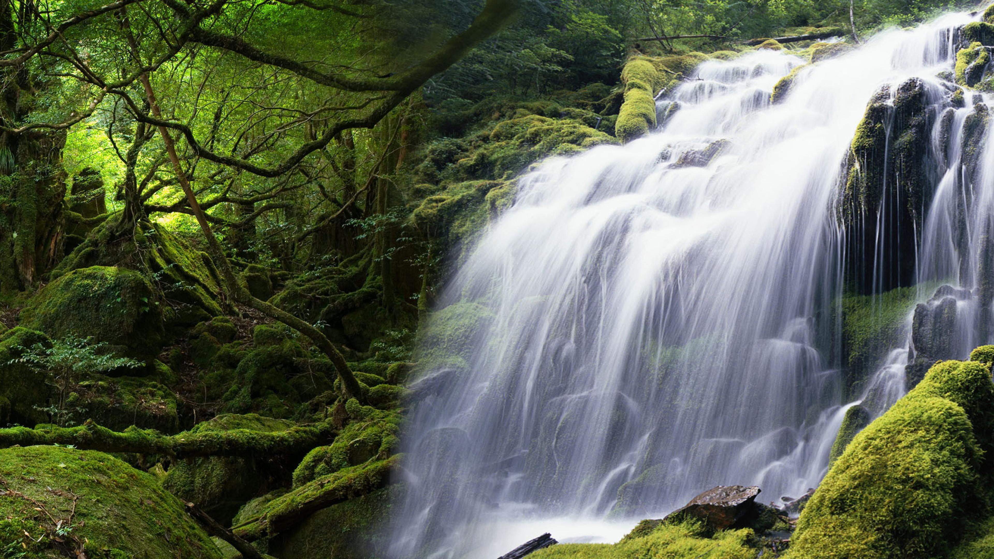 Free download double wide Ultra or Dual High Definition 2560x1440 ...