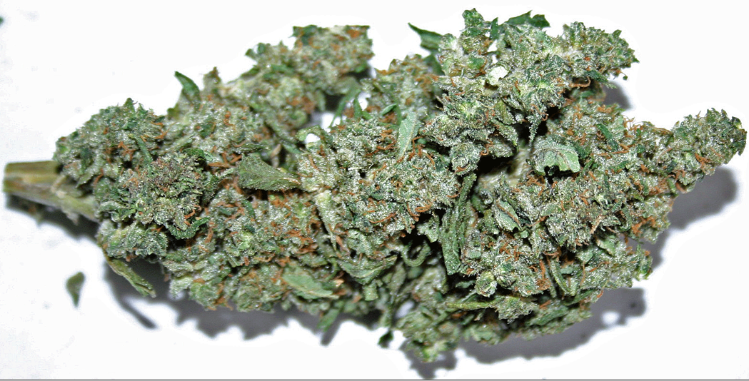 Free download Weed Nug Png 104 images in Collection Page 1 [1049x534 ...