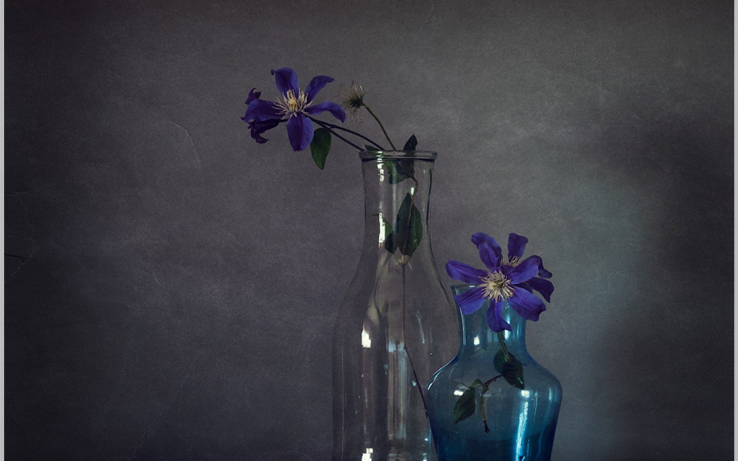 Free download Still Life Computer Wallpapers Desktop Backgrounds ...